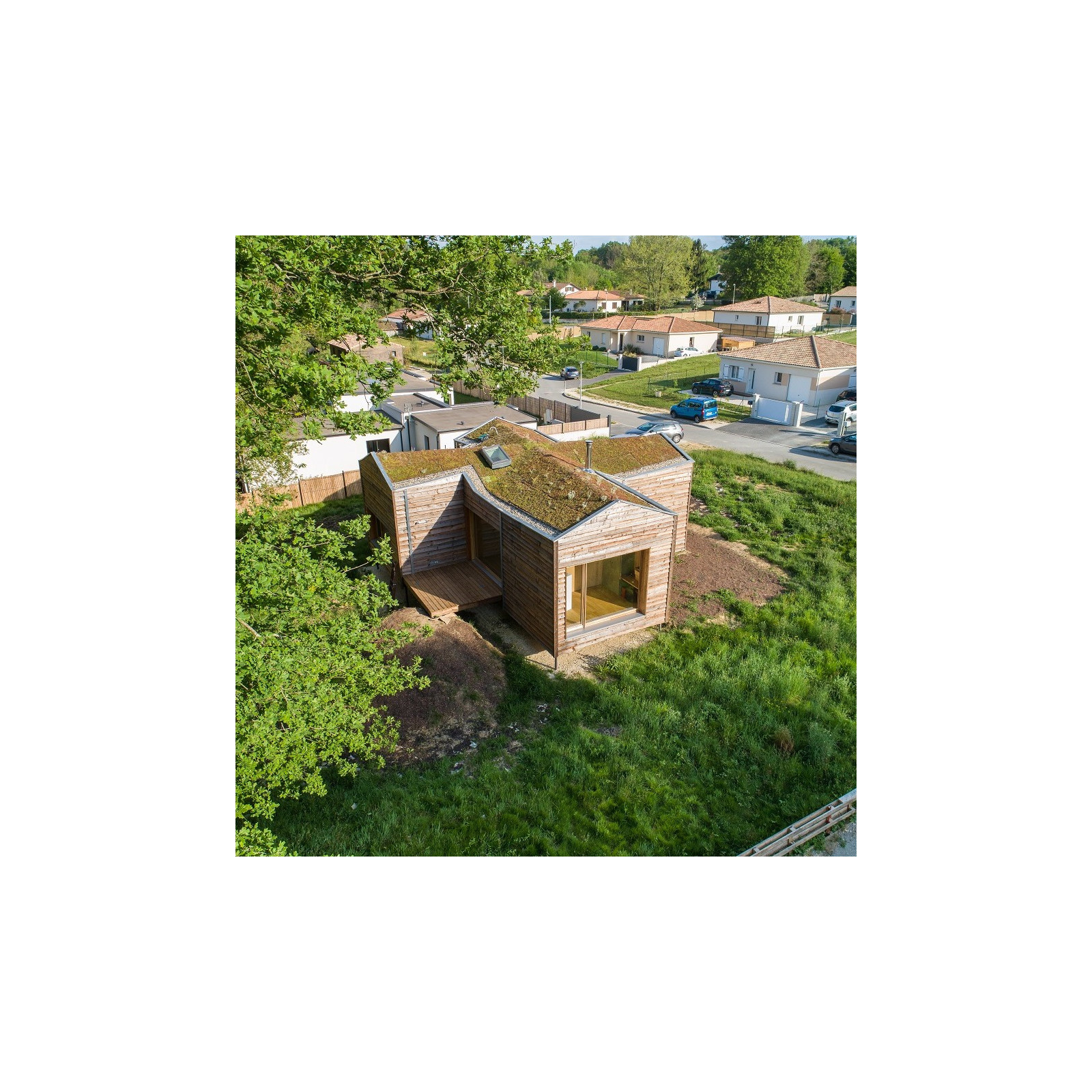 Toiture de maison végétalisée