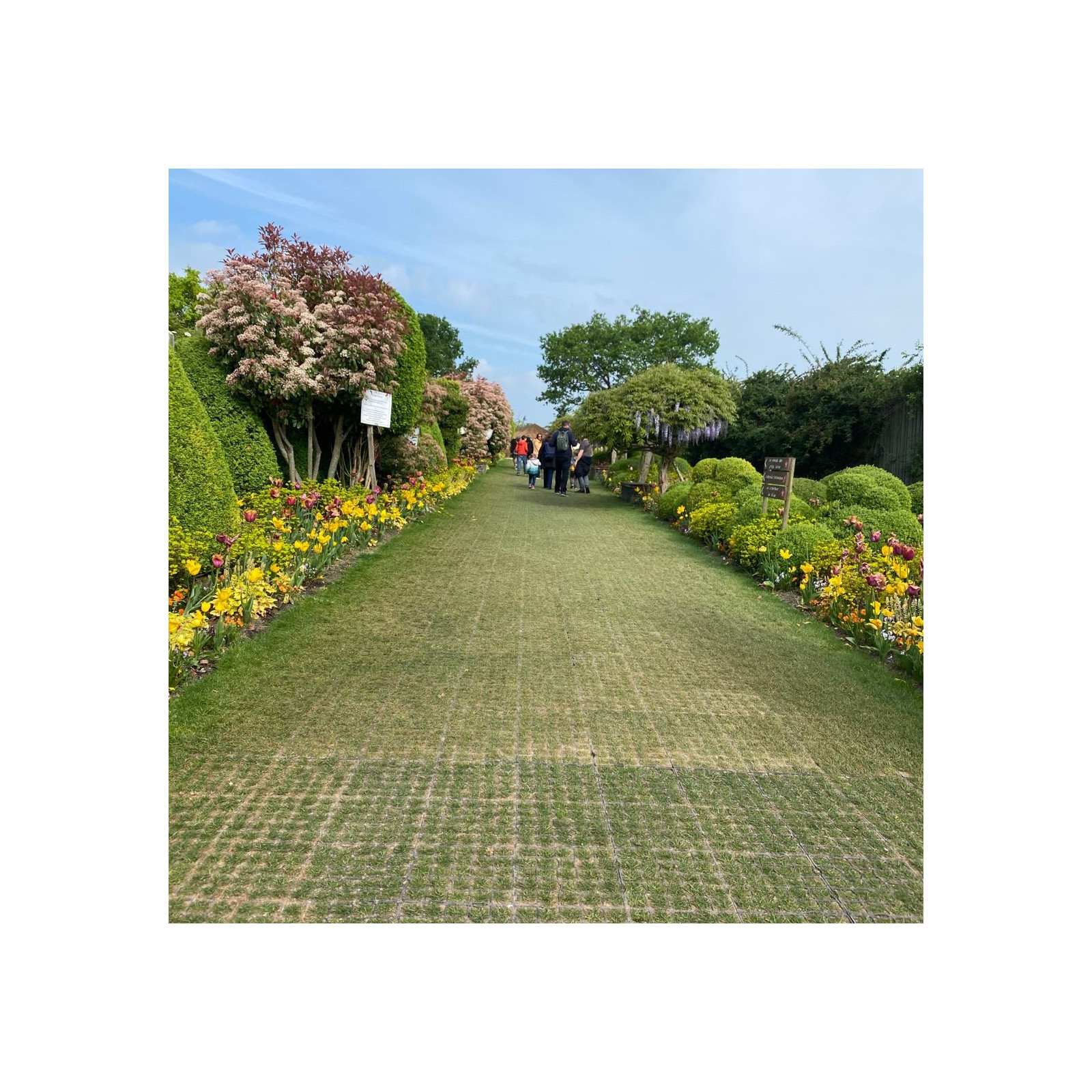 Voie engazonnée ECOVEGETAL GREEN à Angers : Allée durable.